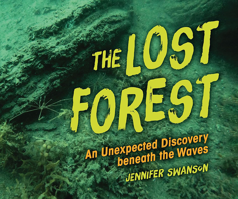 The Lost Forest: An Unexpected Discovery beneath the Waves - Science ...